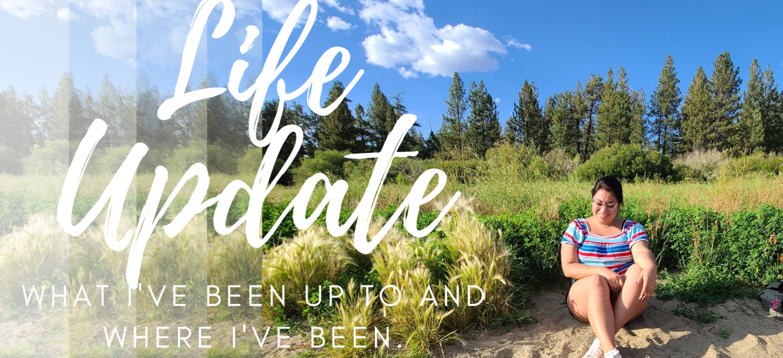Life Update- What I've been up to the last few months - This Lucky Mama