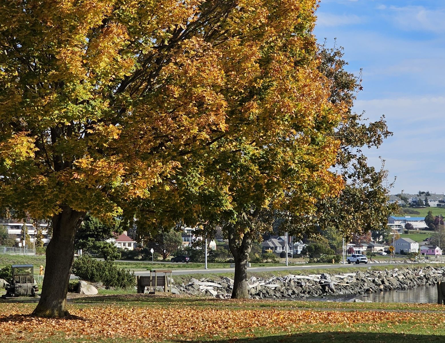 Whidbey Island in The Fall - This Lucky Mama
