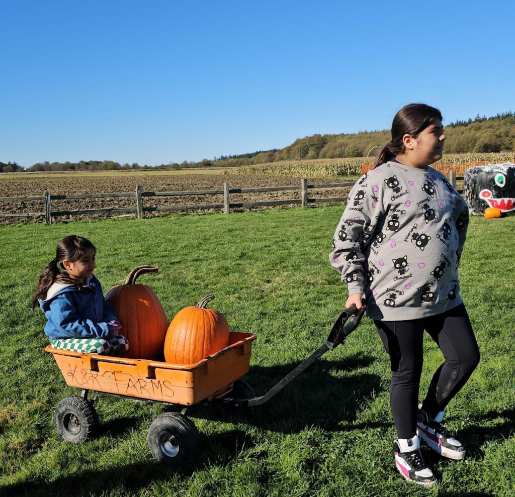 Whidbey Island in The Fall - This Lucky Mama