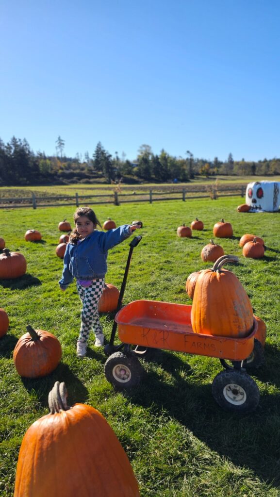 Whidbey Island in The Fall - This Lucky Mama